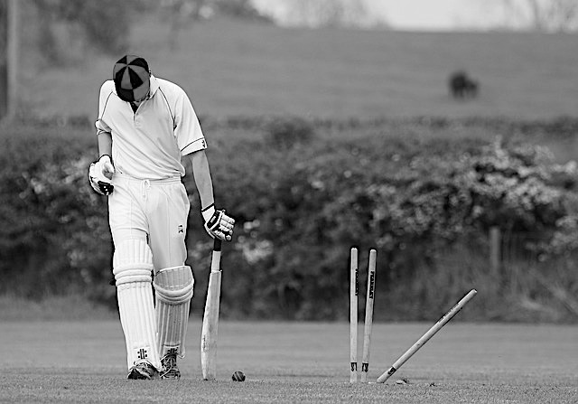 cricket mono copy - Marcus Ward Consultancy Ltd